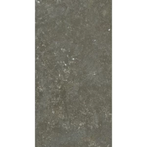 Shop Porcelain floor tiles Matt, Size 60x30 cm, Thickness 11mm, Coffee ...