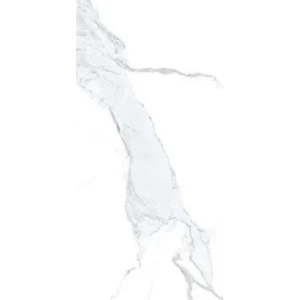Shop Porcelain floor tiles, Size 60x30 cm, Thickness 11 mm, Silver ...